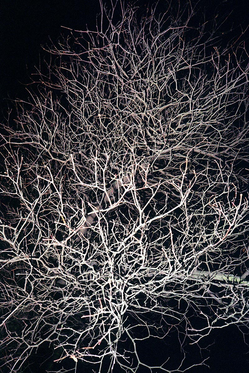 Journal - Christian Rothe